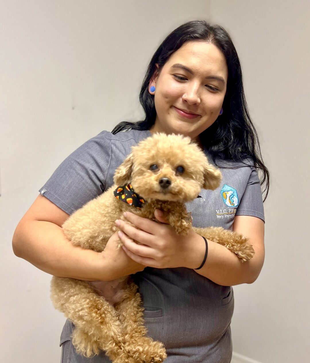 Meet Our Team of Pet Care Professionals | VIC Pet Care